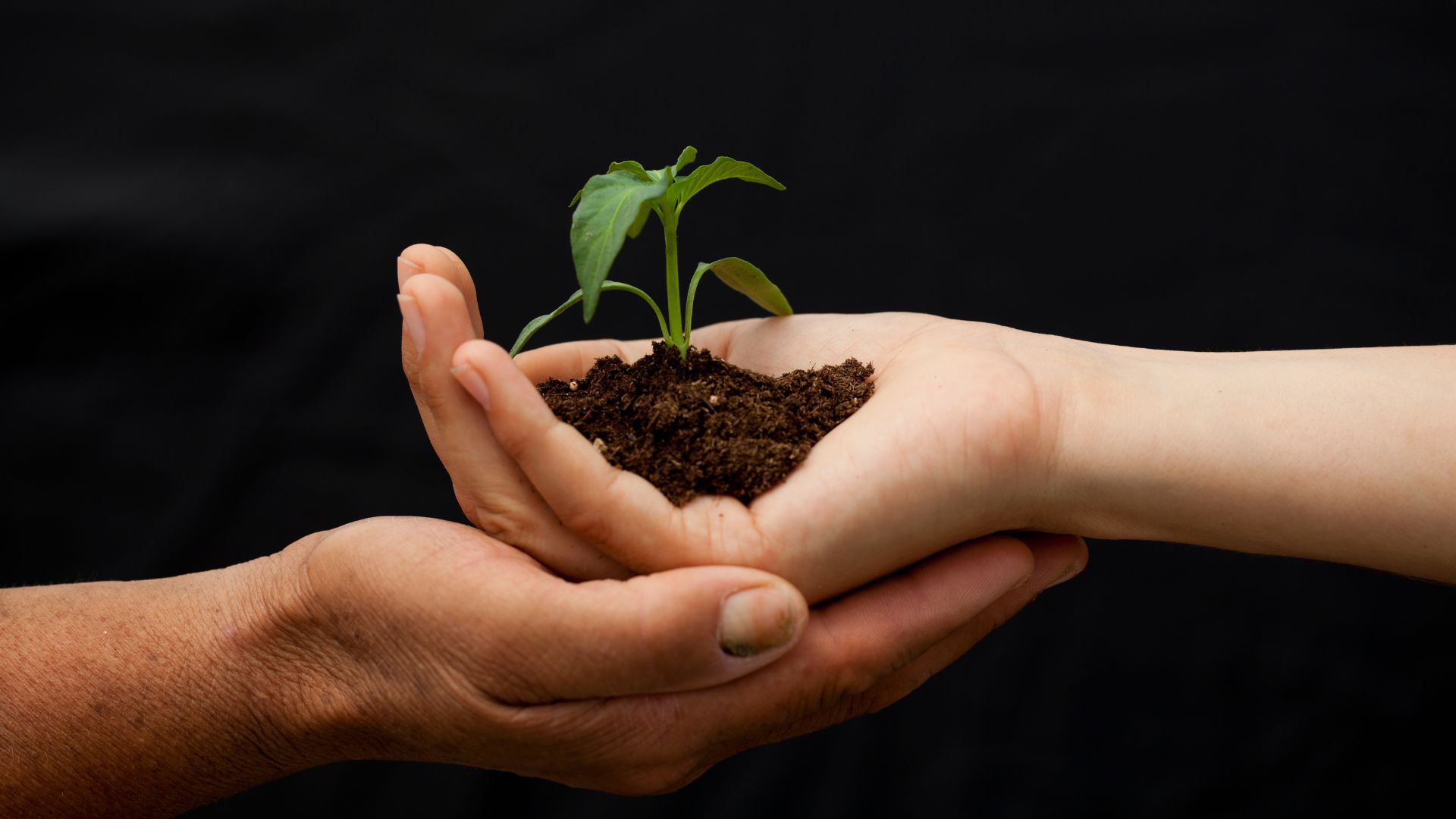 Una Nueva Vida En Cristo